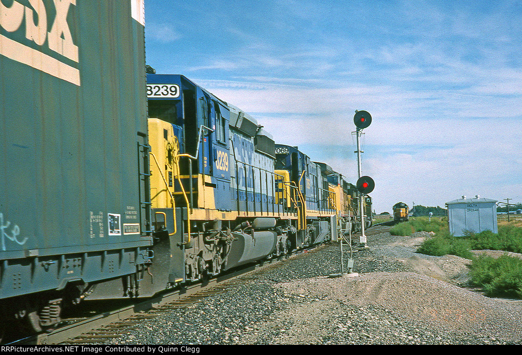 CSX 8239